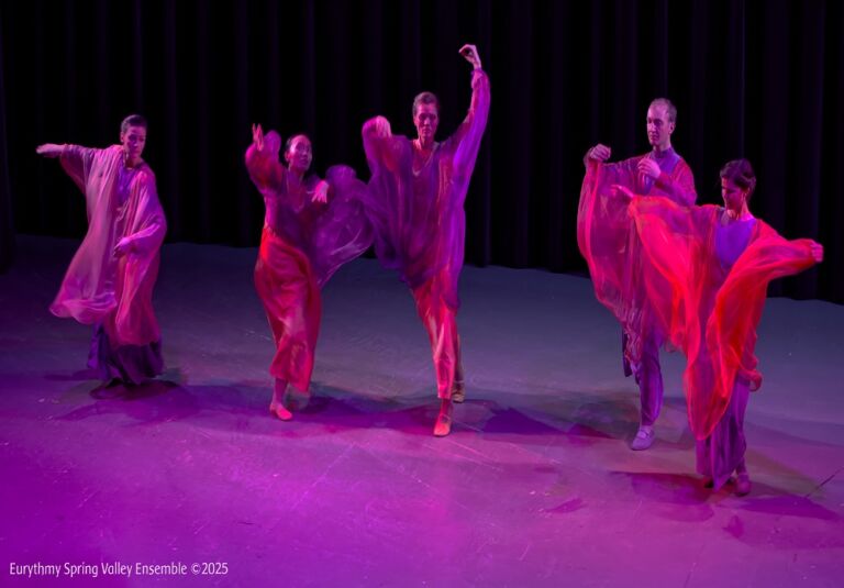 The Storm – Threefold Educational Foundation | Chestnut Ridge NY