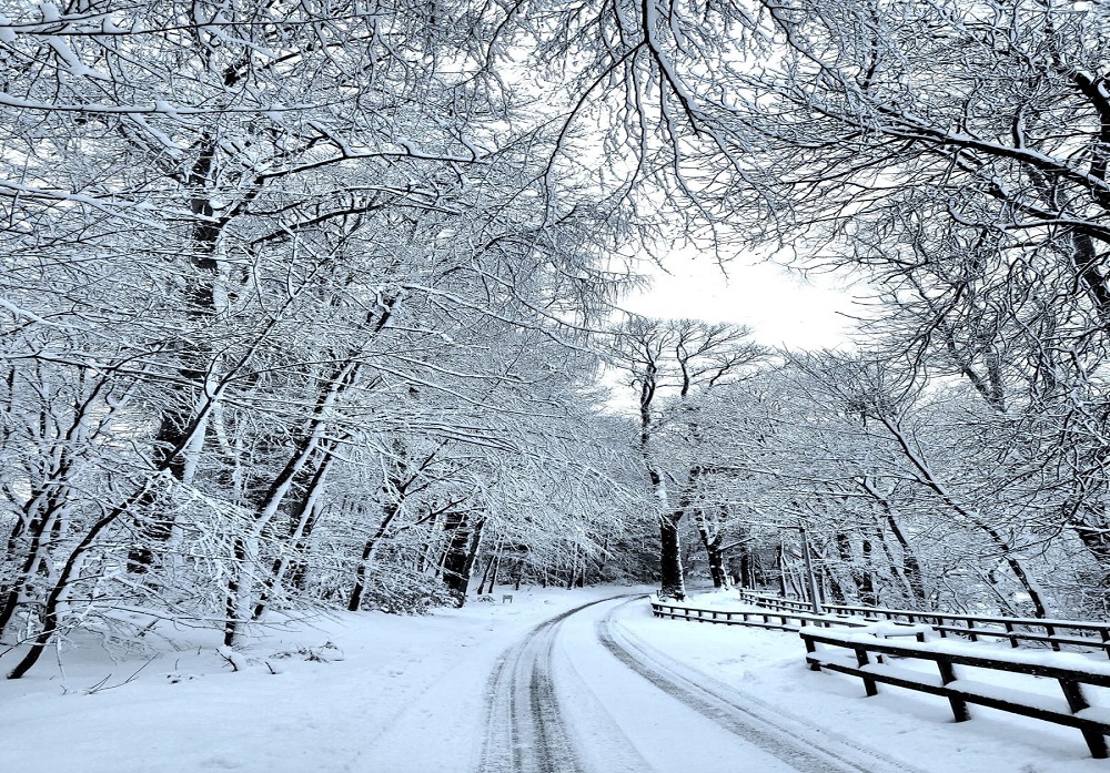 Intermediate Winter 2026 Public Eurythmy Course with Sea-Anna Vasilas ...